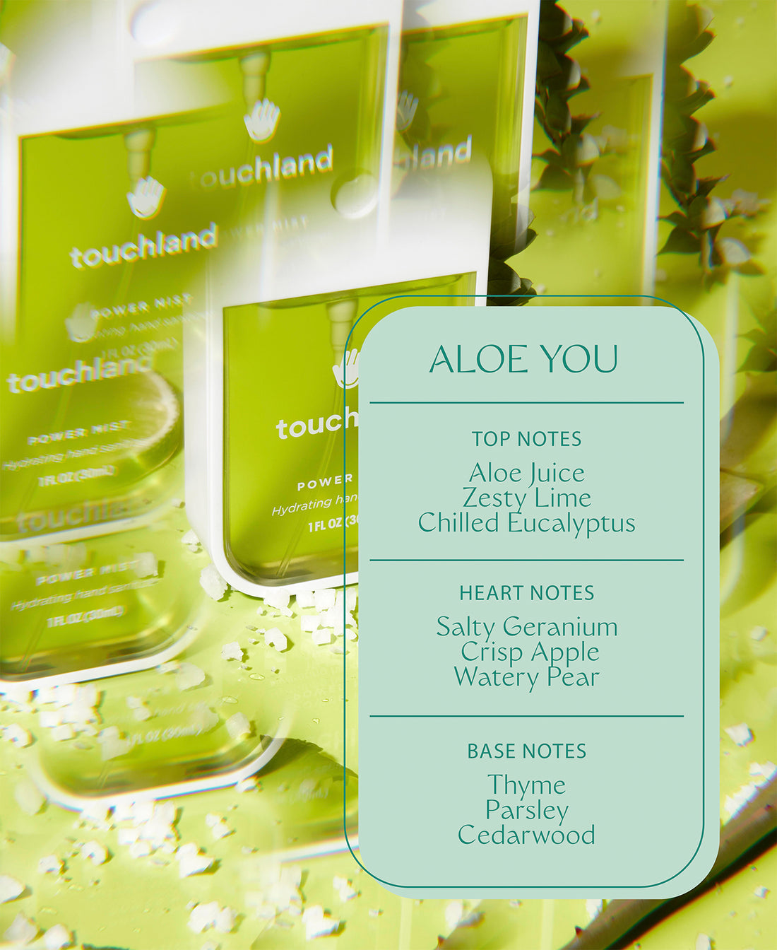 Power Mist Aloe You - Touchland. – VAL COSMETICS